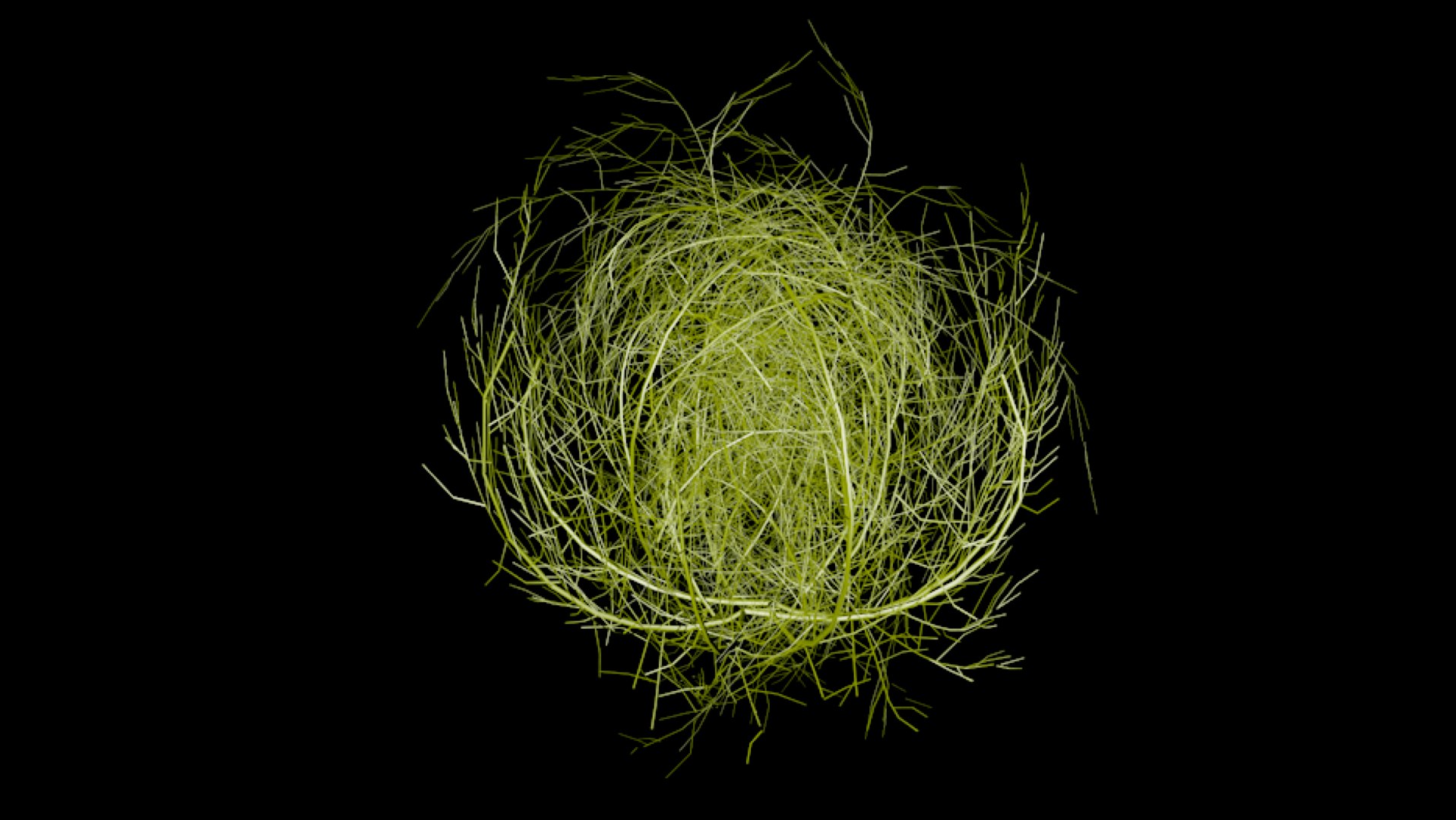 3D Desert Tumbleweed Model - TurboSquid 1365850