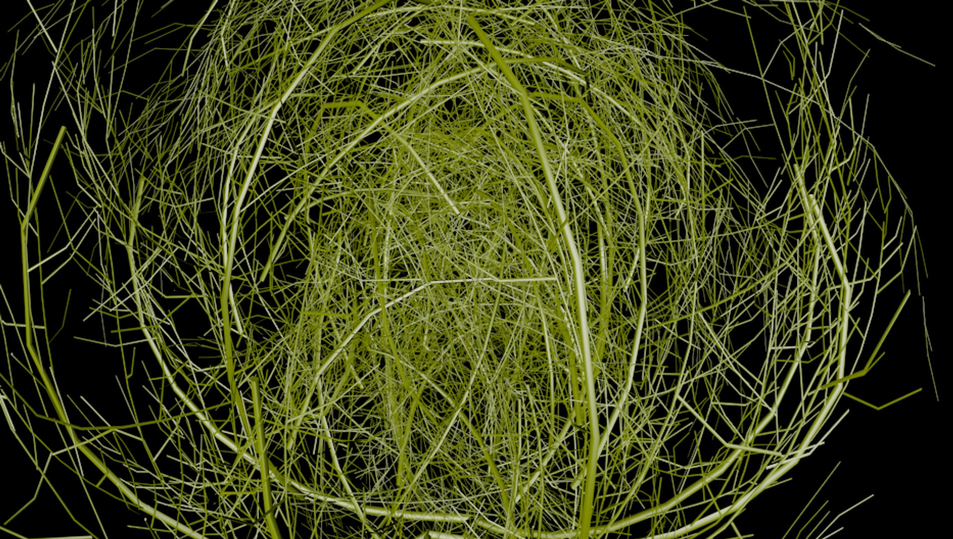 3D Desert Tumbleweed Model - TurboSquid 1365850