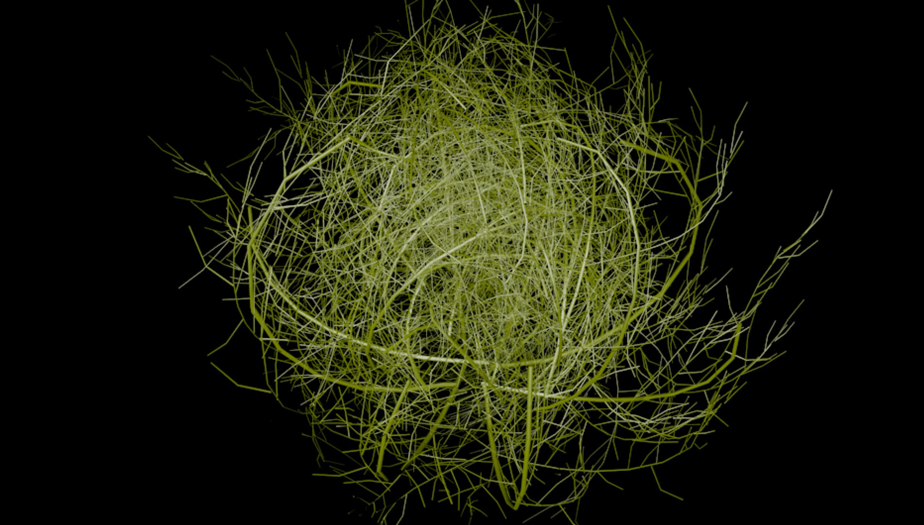 3D Desert Tumbleweed Model - TurboSquid 1365850