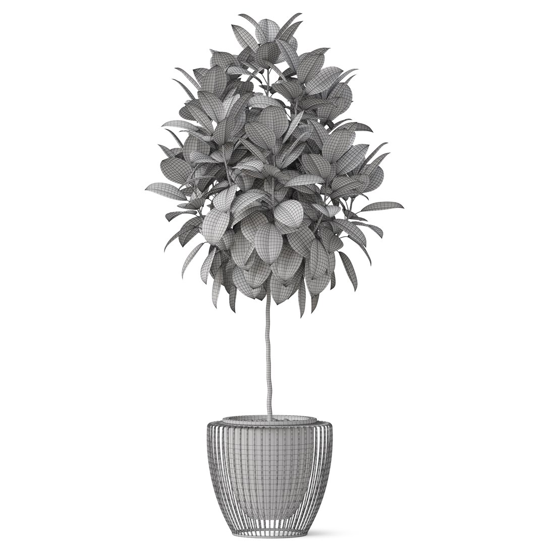 Plants Collection 859 3D Model - TurboSquid 1996142