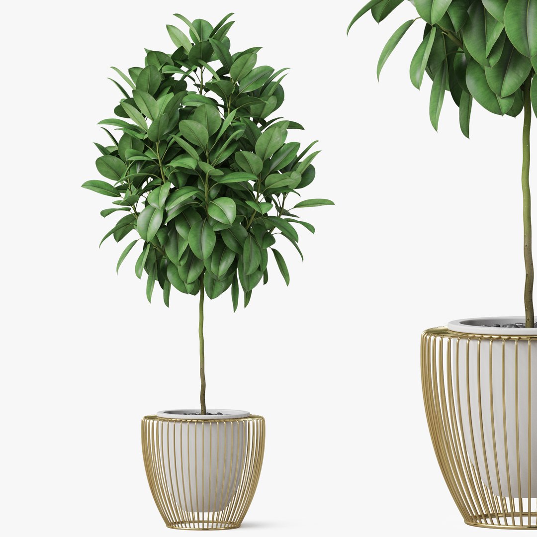 Plants Collection 859 3D Model - TurboSquid 1996142