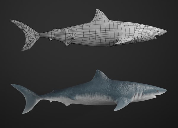 Great White Shark Blender Models for Download | TurboSquid
