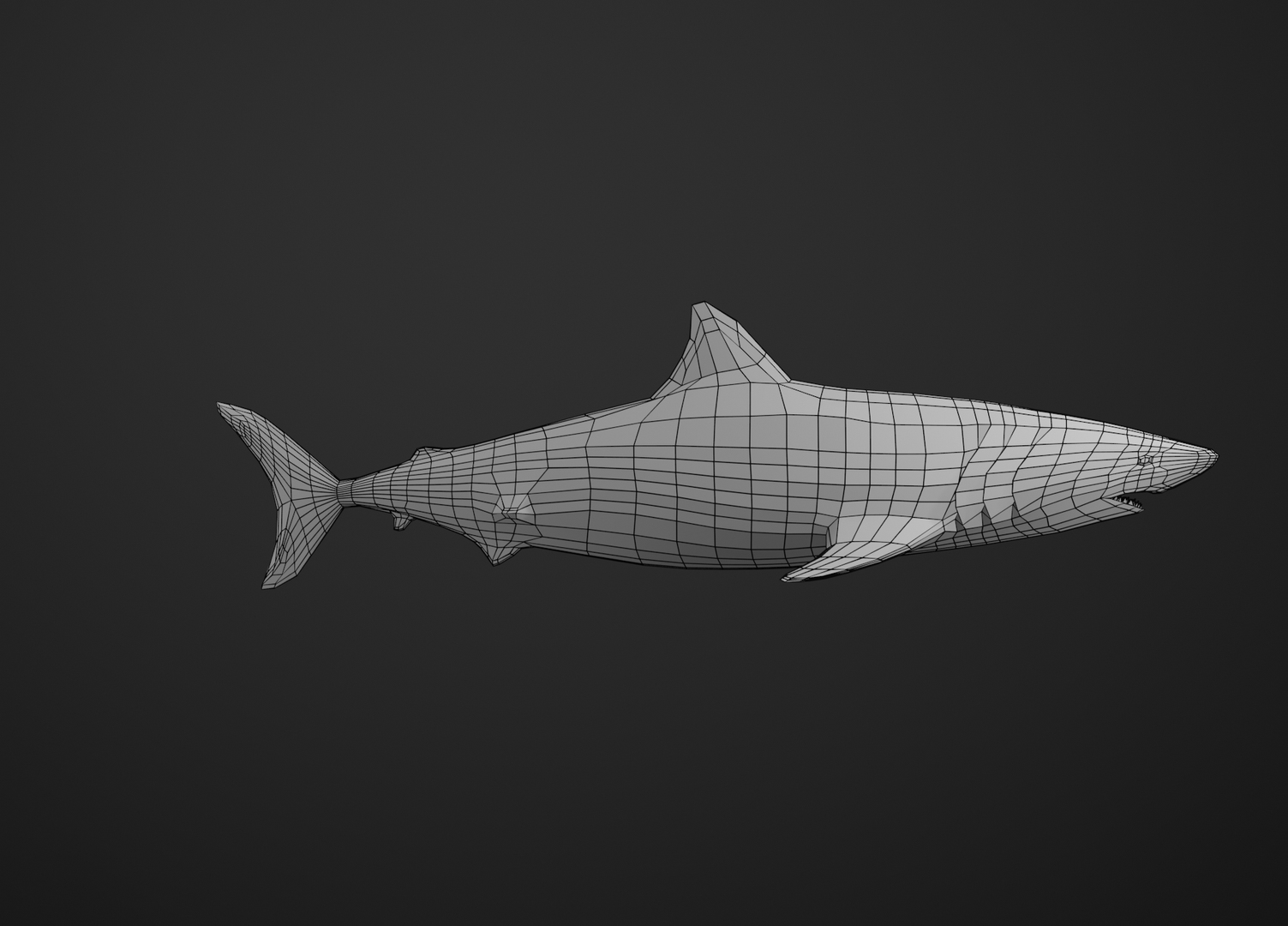 3D Shark Swimming Animation - TurboSquid 1615066