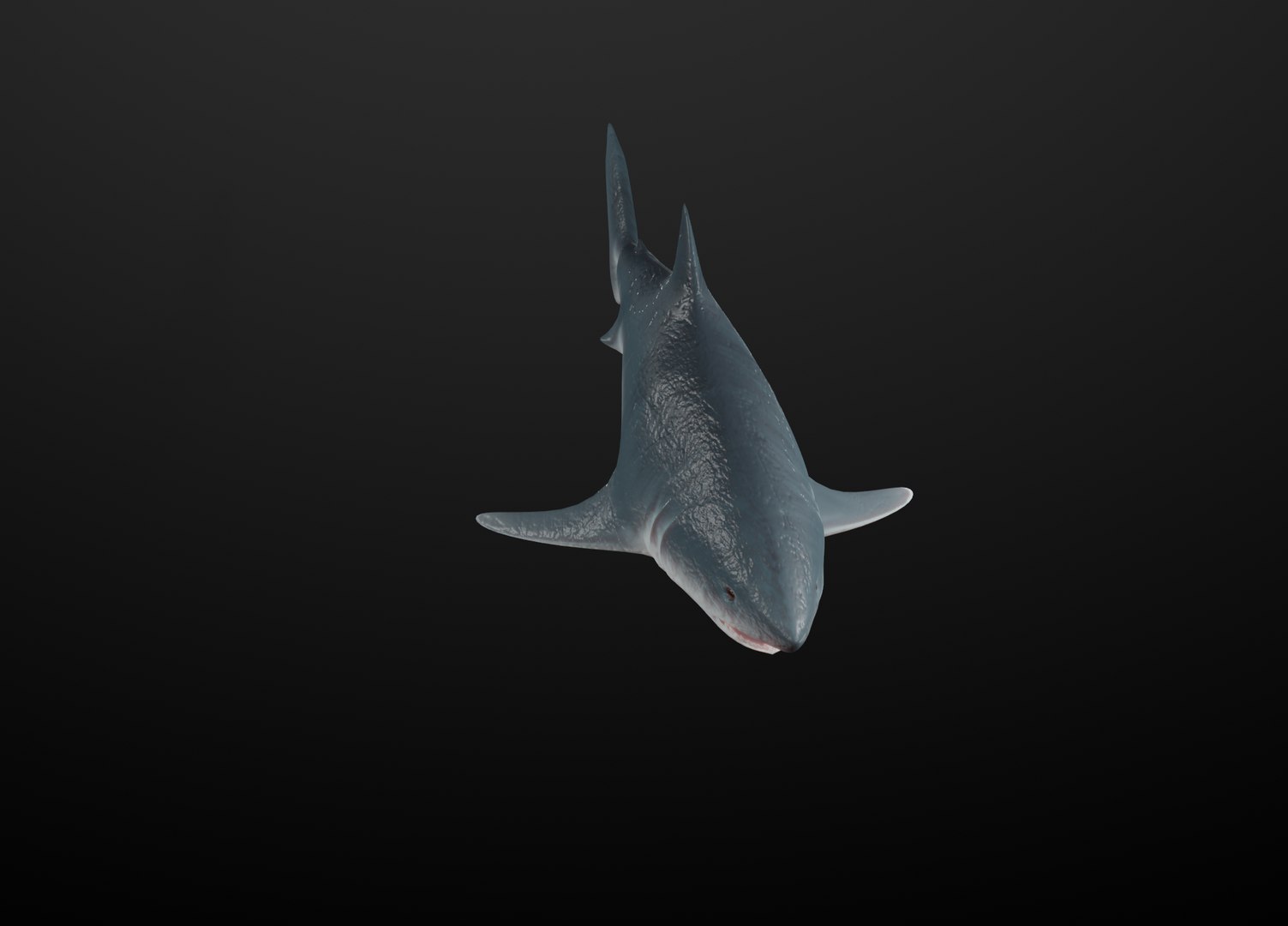 3D Shark Swimming Animation - TurboSquid 1615066