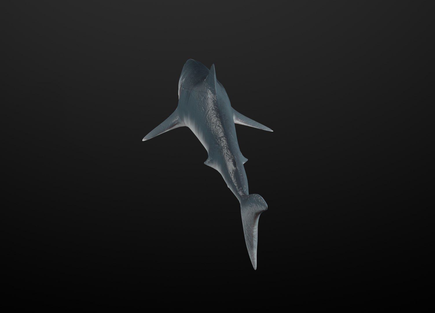3D Shark Swimming Animation - TurboSquid 1615066