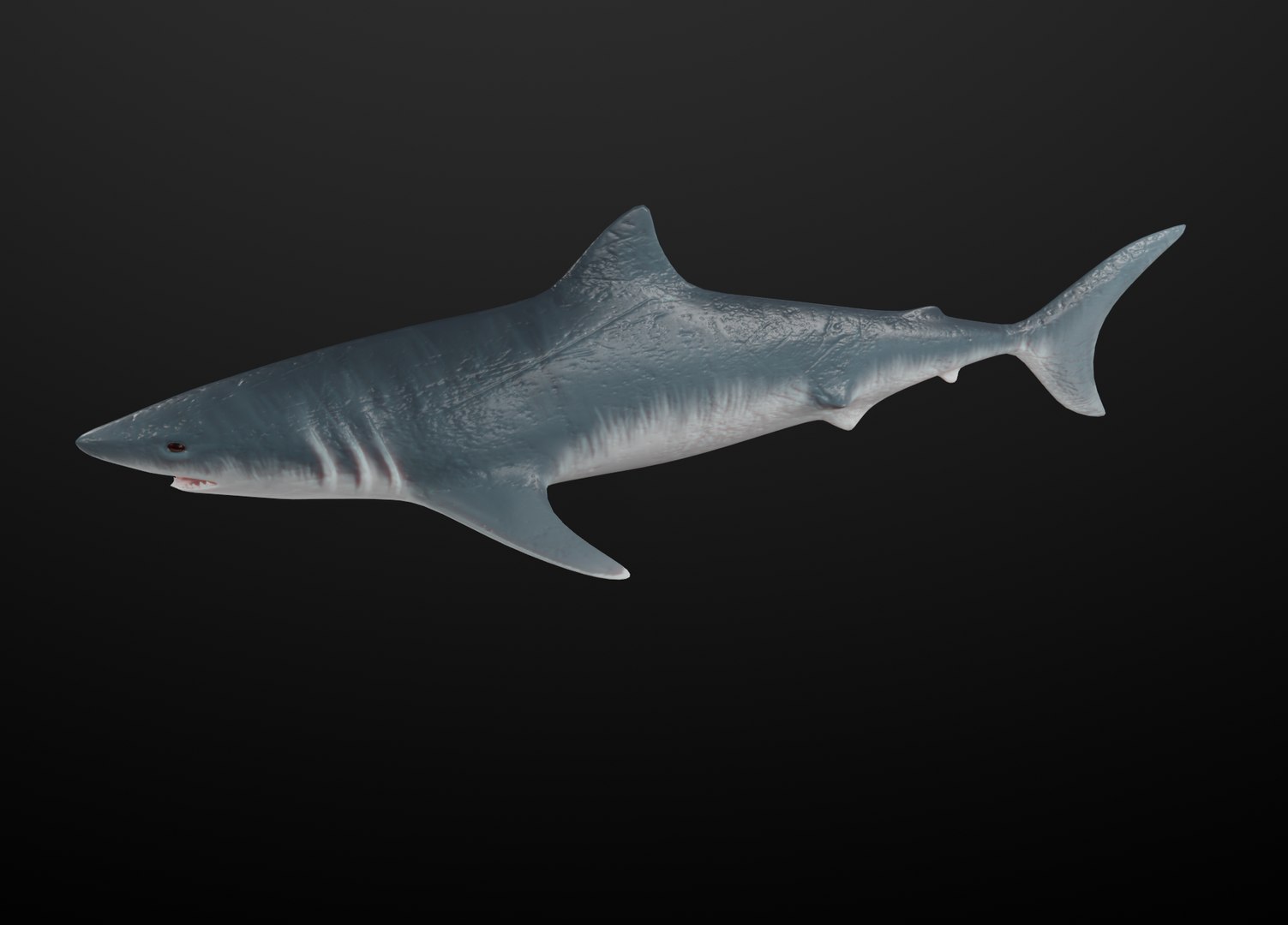 3D Shark Swimming Animation - TurboSquid 1615066