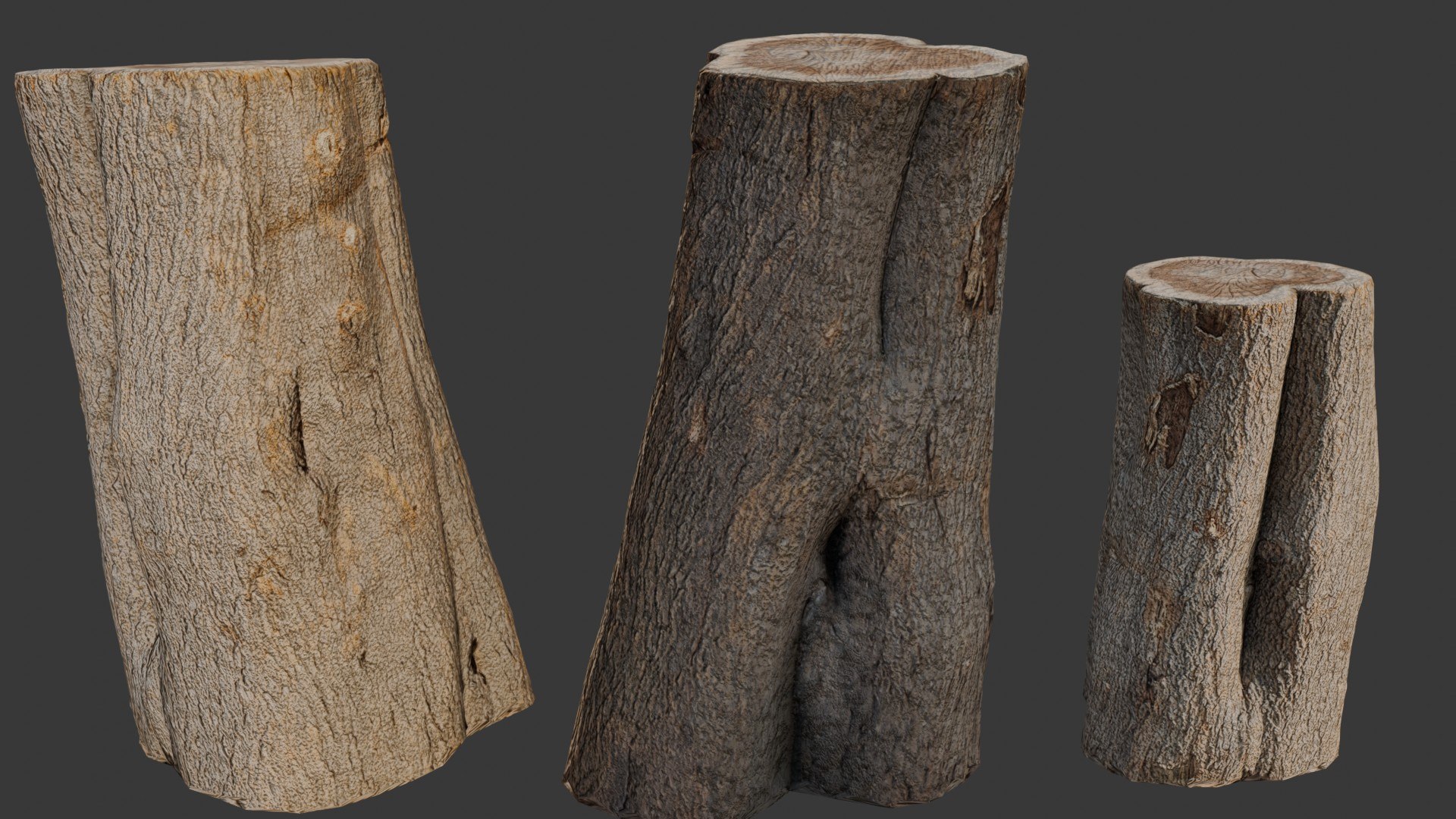 3D Tree Stump Scan Model - TurboSquid 2408340