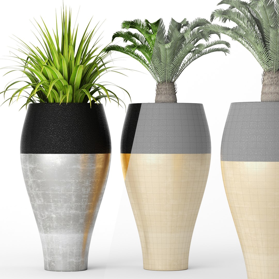 palm tree cycas set 3d model