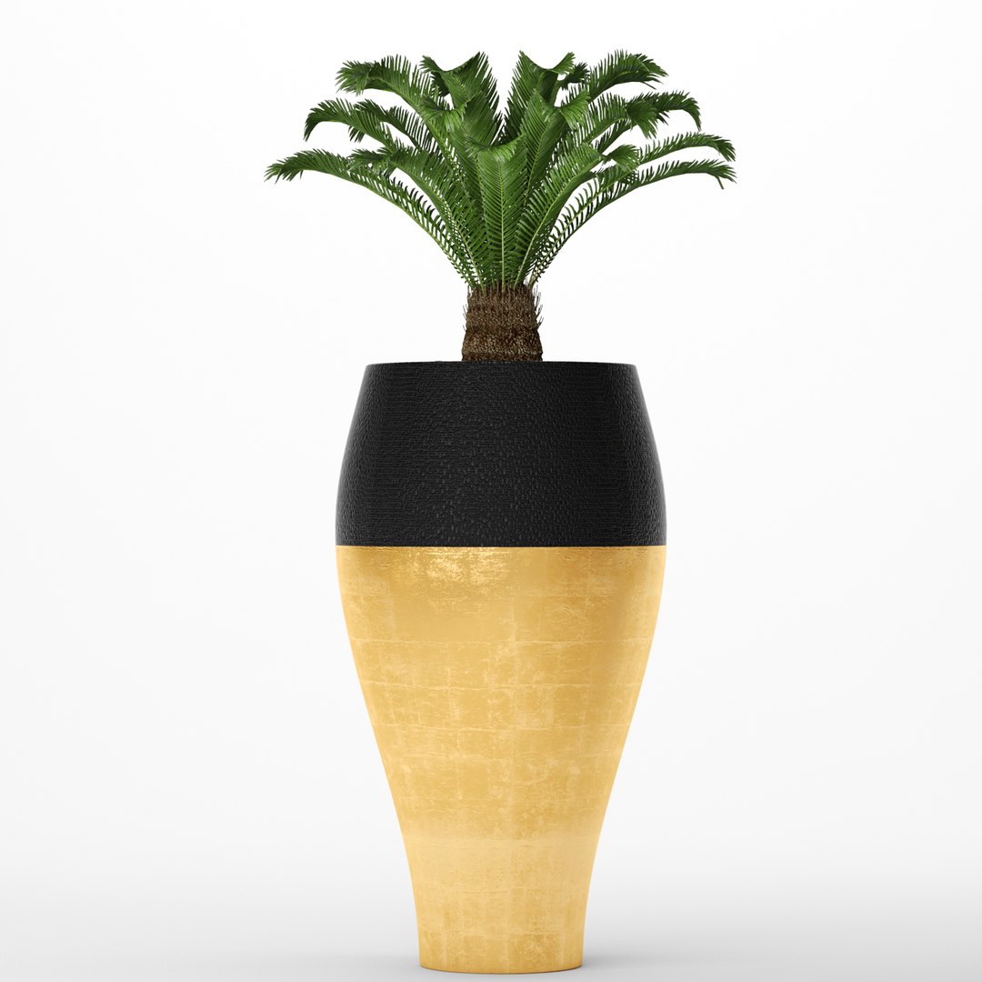 palm tree cycas set 3d model