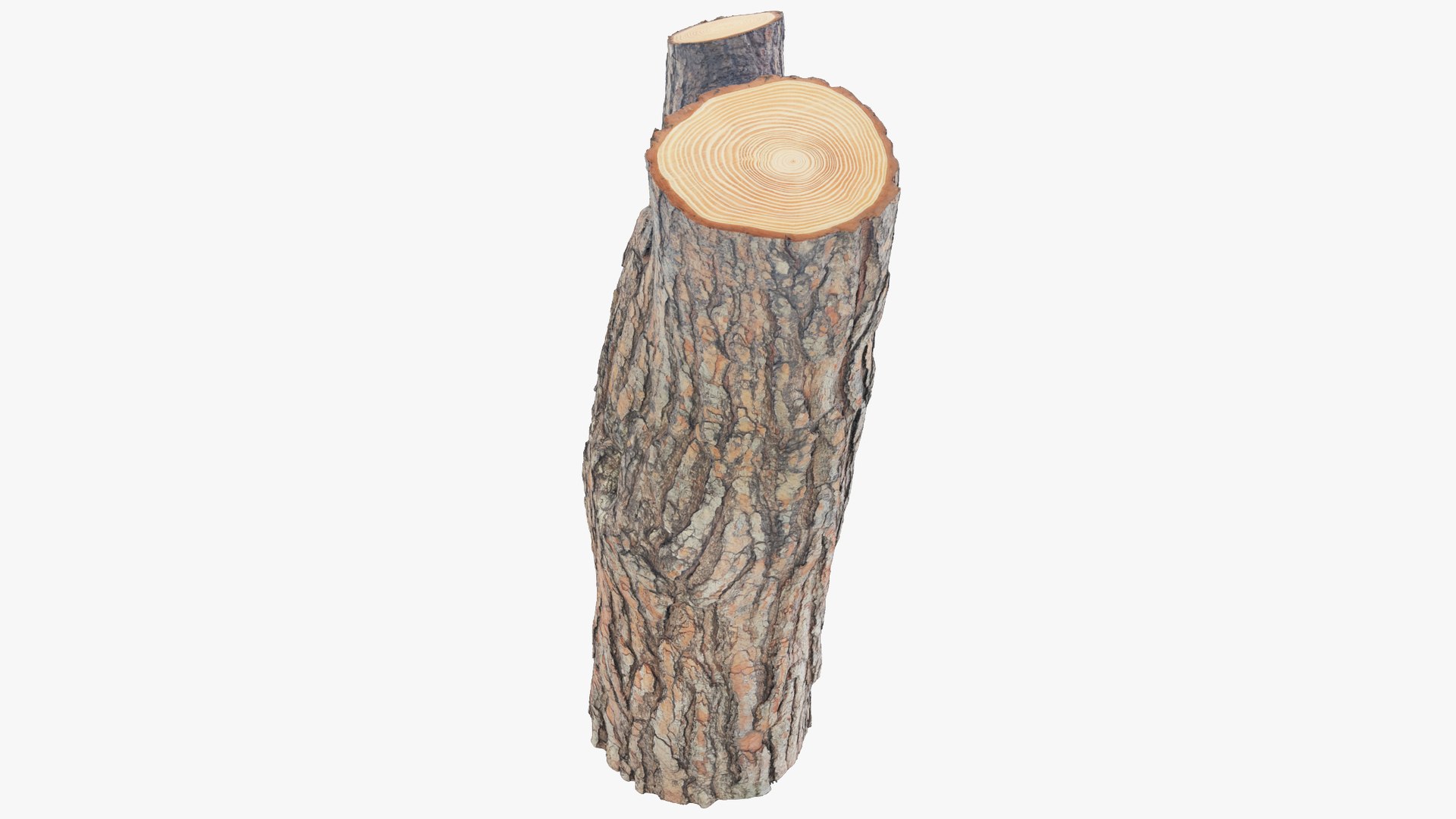 Log V3 Model - TurboSquid 2111232