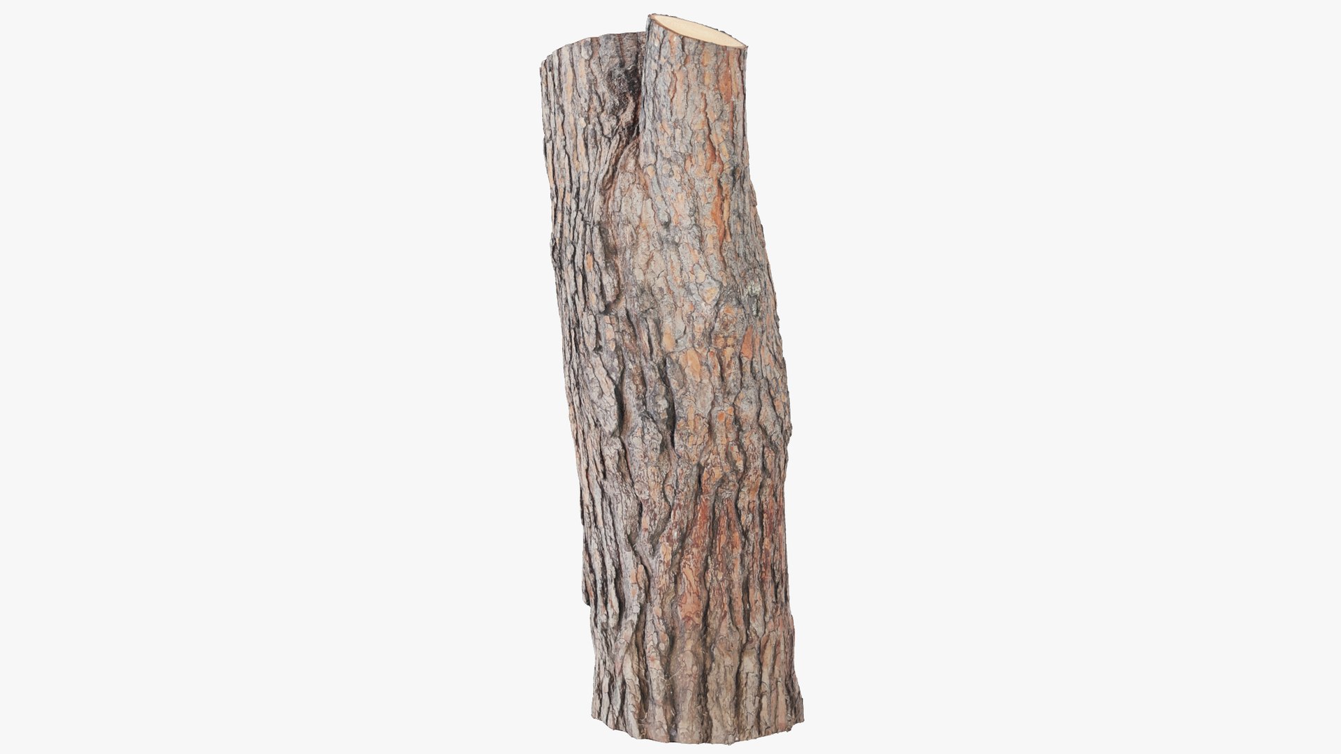 Log V3 Model - TurboSquid 2111232