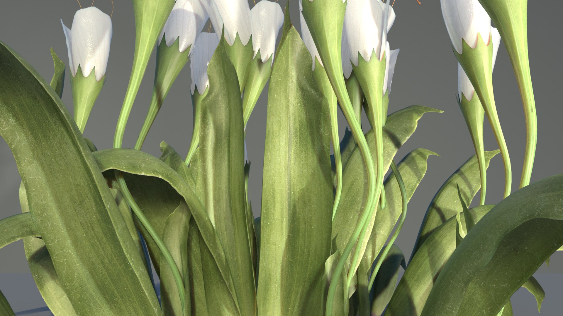 Small fantasy plant model - TurboSquid 1848020