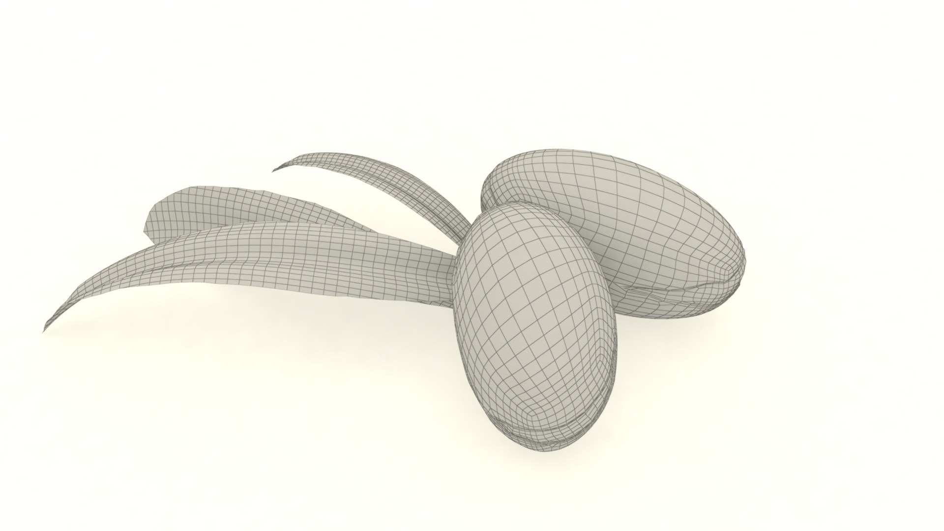 3D Argan seed Cosmetics With Leaf - TurboSquid 1725915