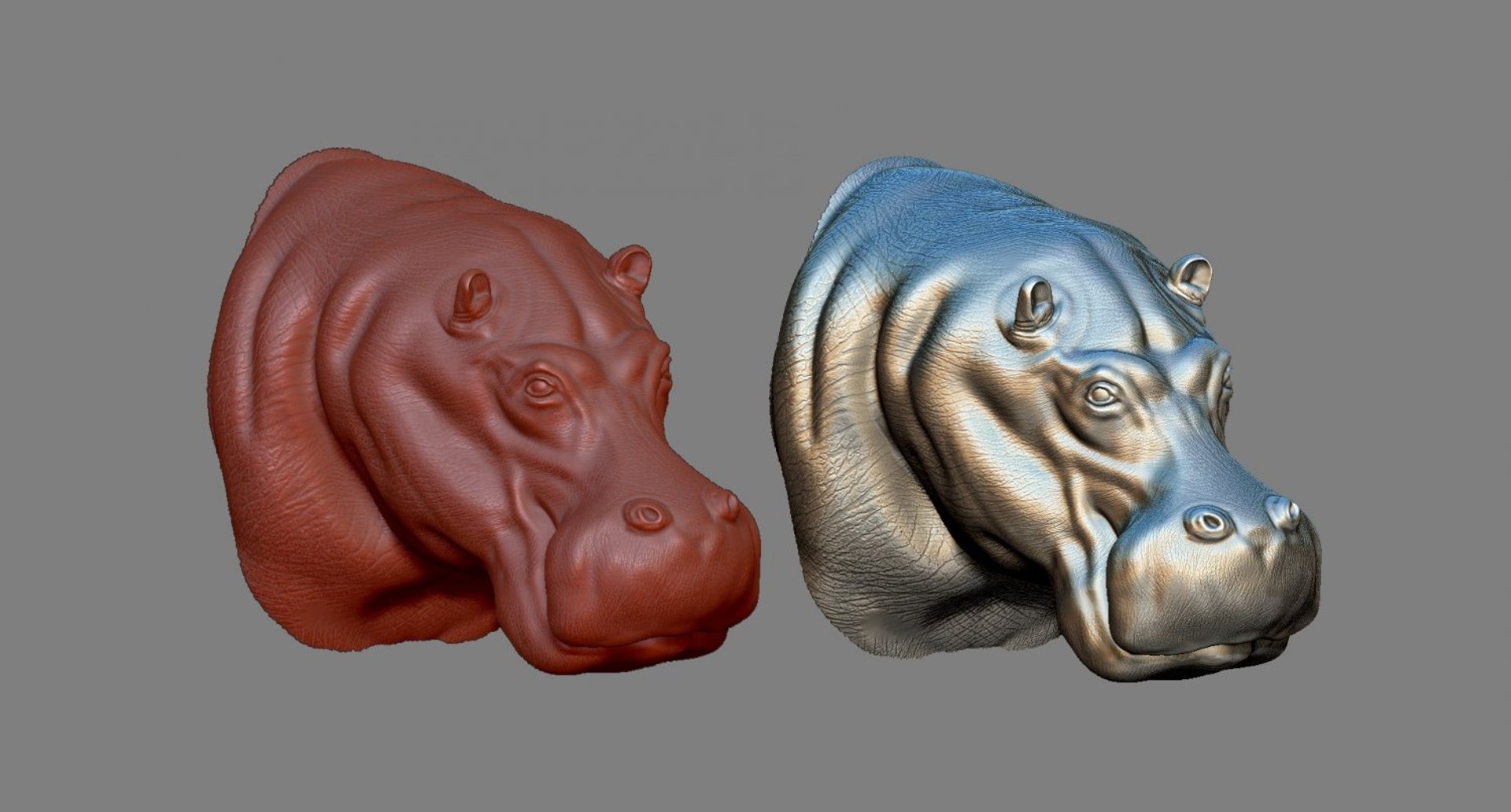 3D Hippopotamus Head Print Hippo - TurboSquid 1242577