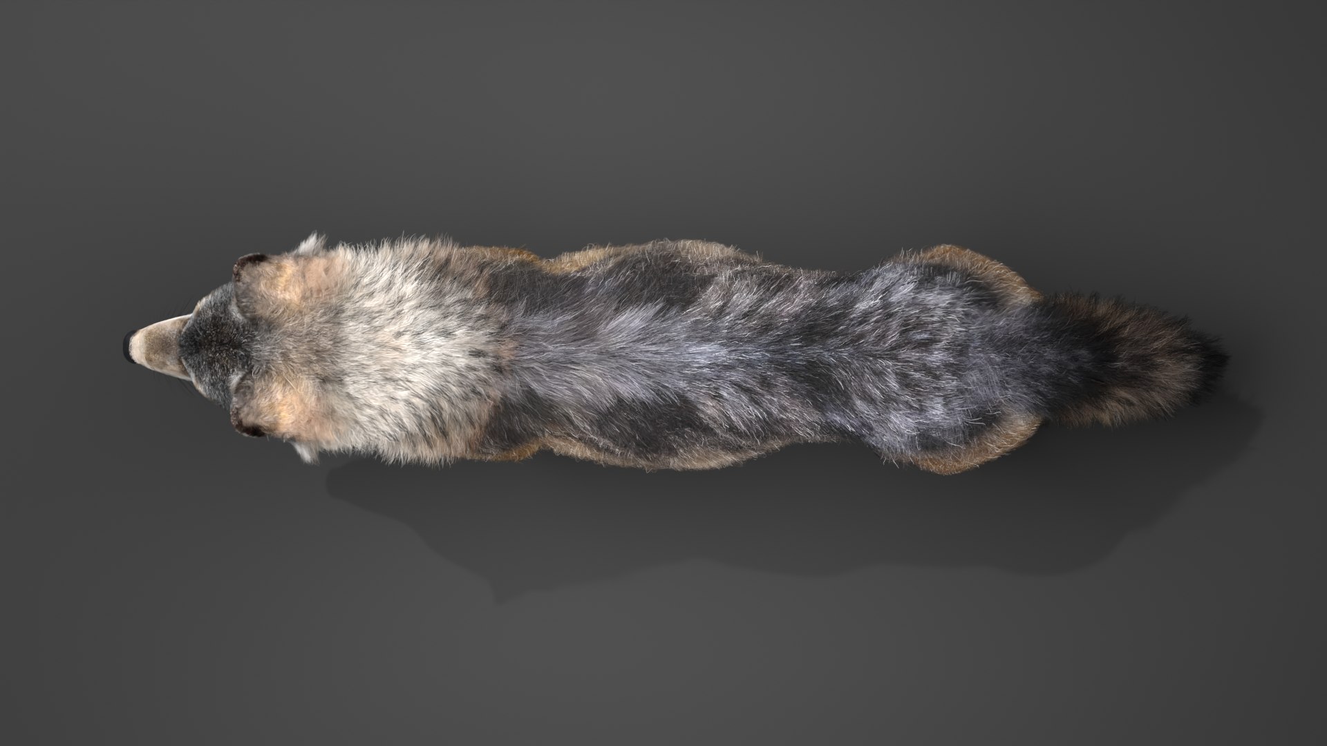 Rigged Gray Wolf Model With 4K Textures 3D Model 3D Model - TurboSquid ...