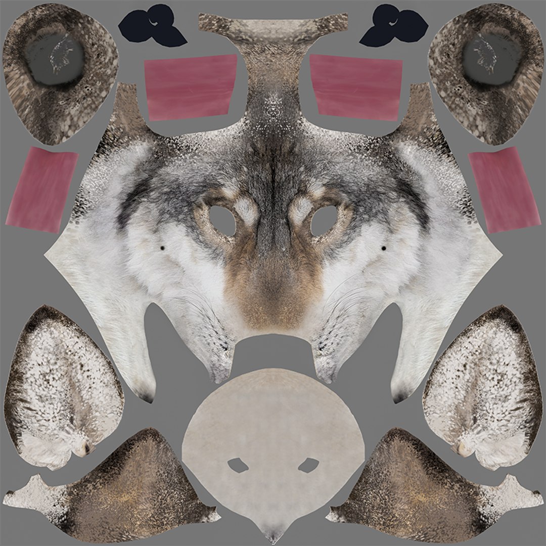 Rigged Gray Wolf Model With 4K Textures 3D Model 3D Model - TurboSquid ...