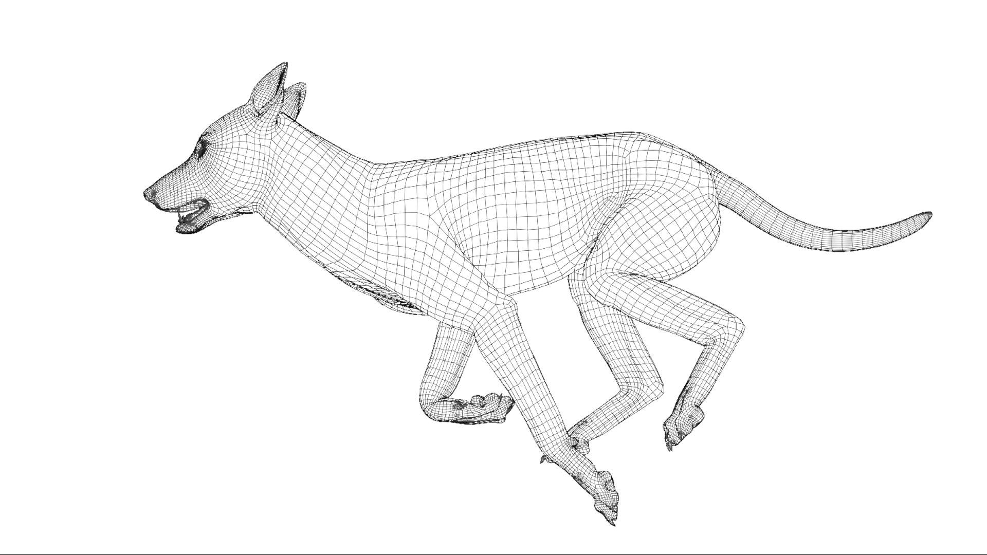 Rigged Gray Wolf Model With 4K Textures 3D Model 3D Model - TurboSquid ...