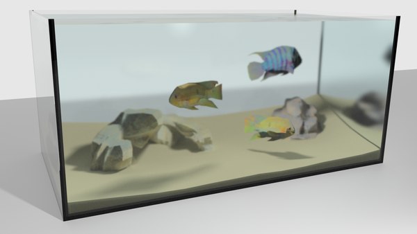 Fresh Water Aquarium 3D Models for Download | TurboSquid