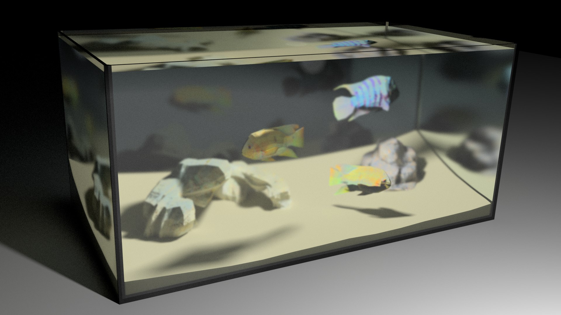 Fish Aquarium 3D Model - TurboSquid 1158793
