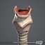 Medically Human Larynx 3d Model