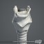 Medically Human Larynx 3d Model