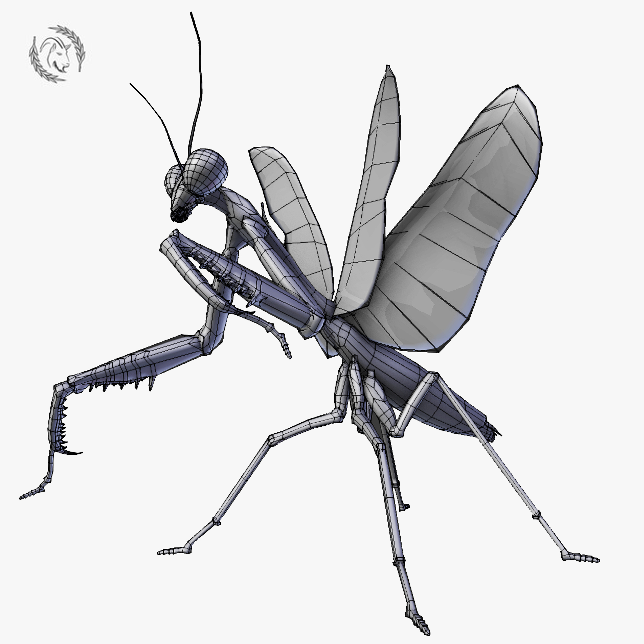 3D praying mantis - TurboSquid 1231685