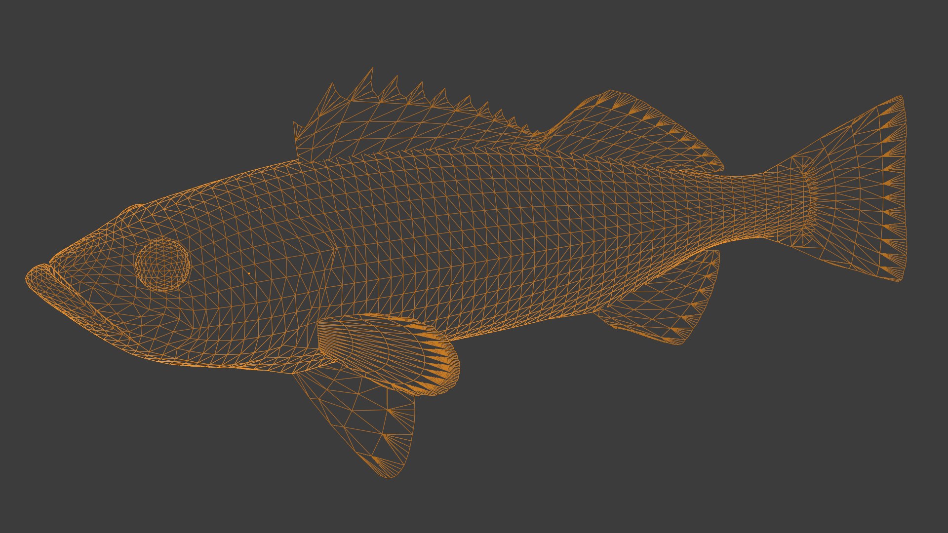 Bocaccio Fish 3d Model