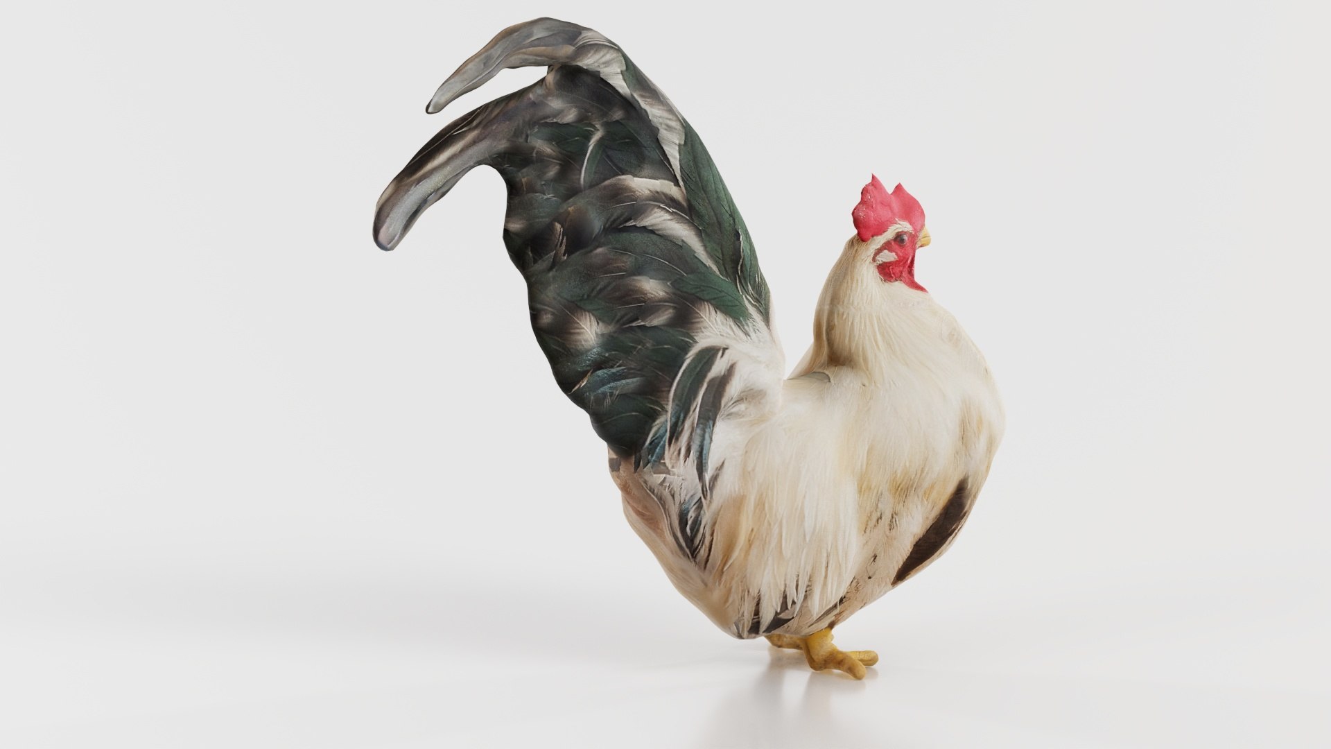 3D Model Rooster Remastered - TurboSquid 2359570