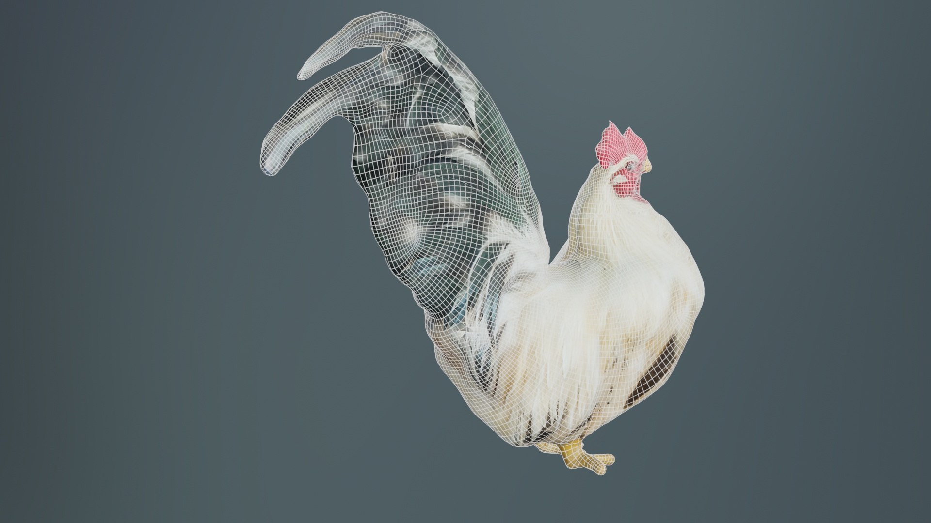3D Model Rooster Remastered - TurboSquid 2359570
