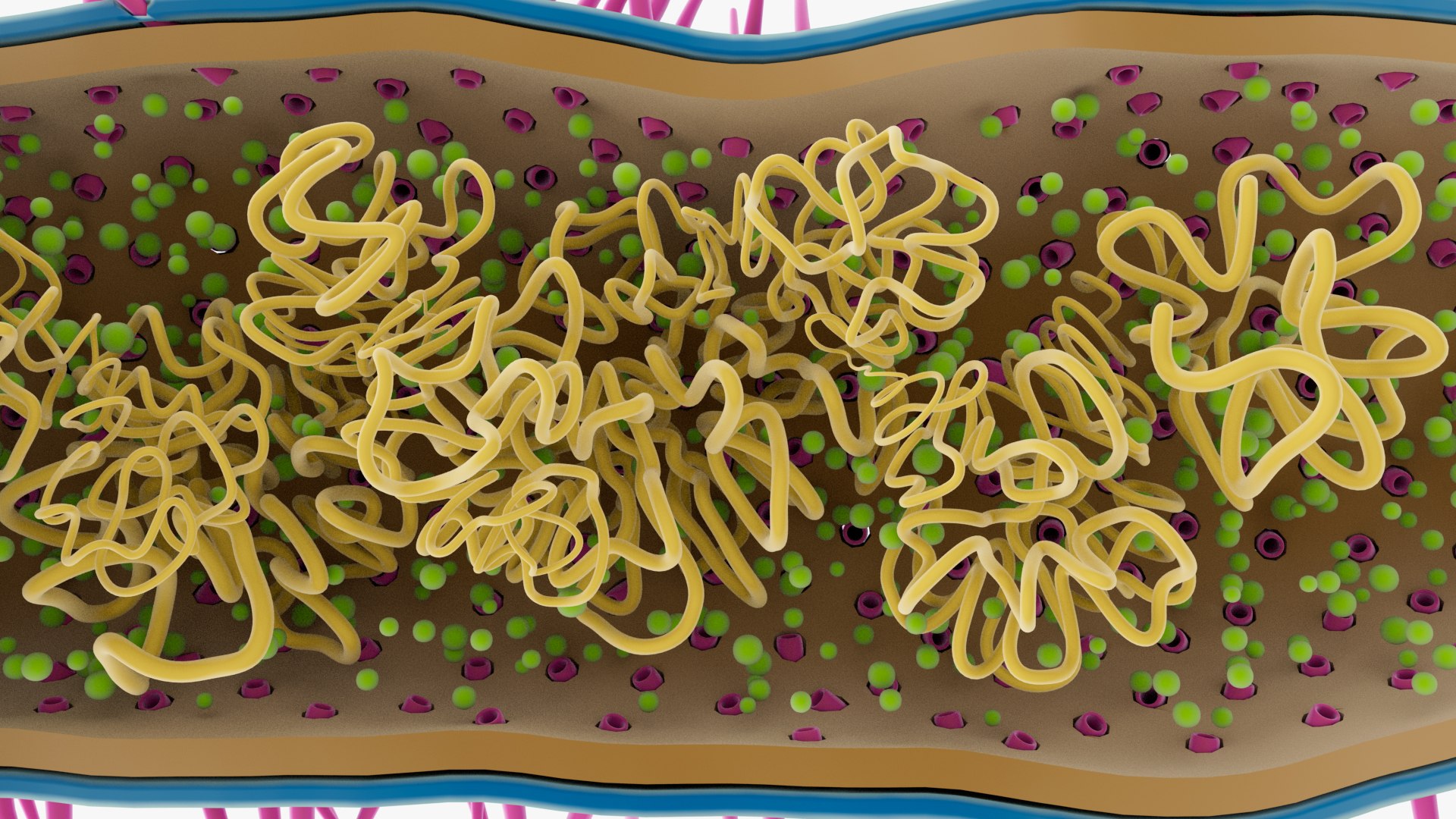 3D Prokaryotic Cell - TurboSquid 2248628