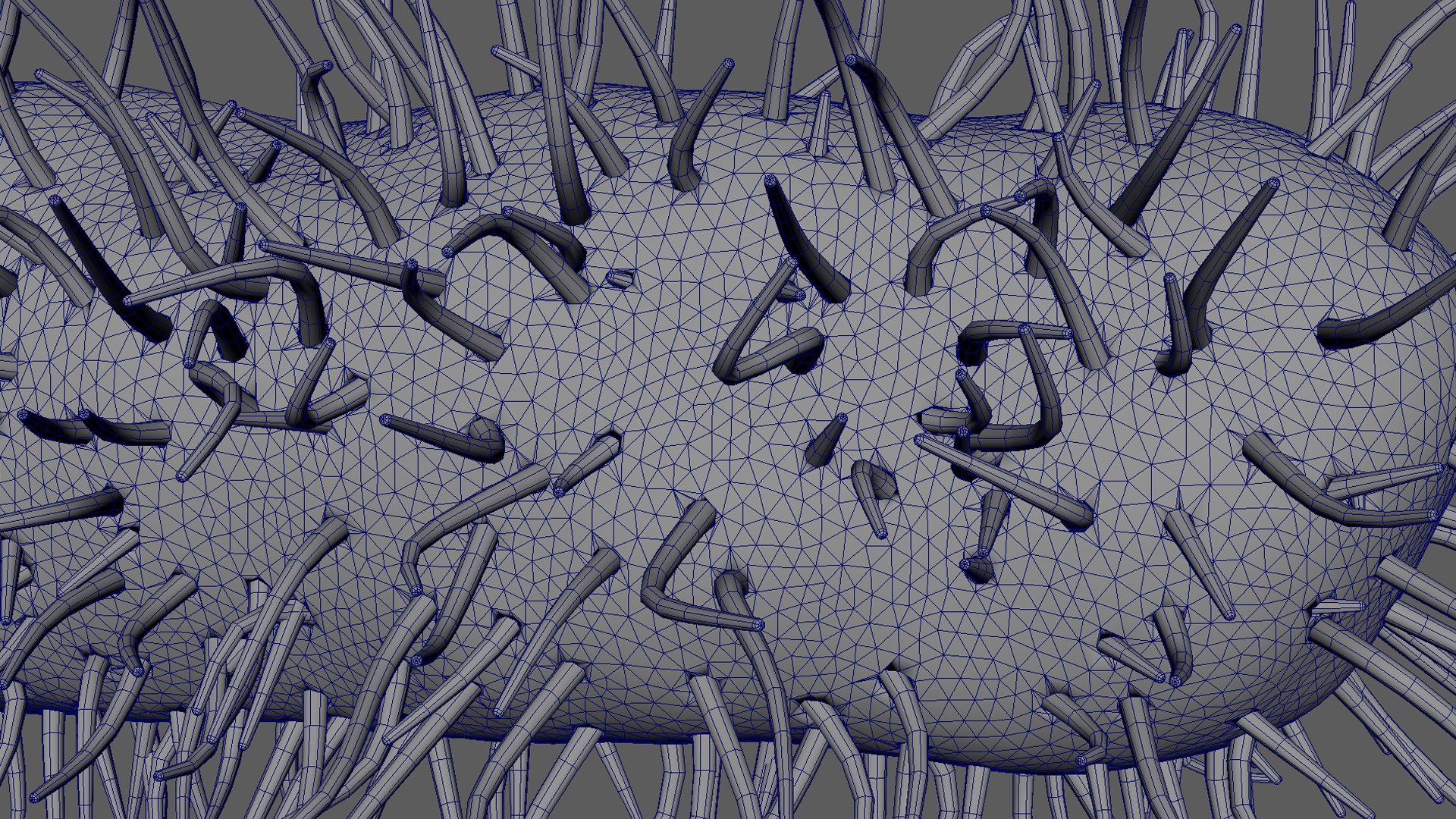 3D Prokaryotic Cell - TurboSquid 2248628