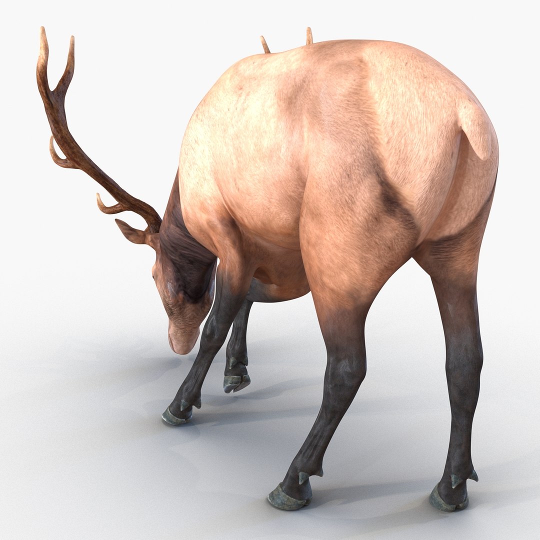3ds max elk pose 3