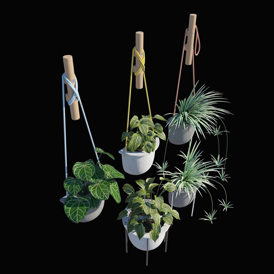 Plant Set 3D Model - TurboSquid 1154363
