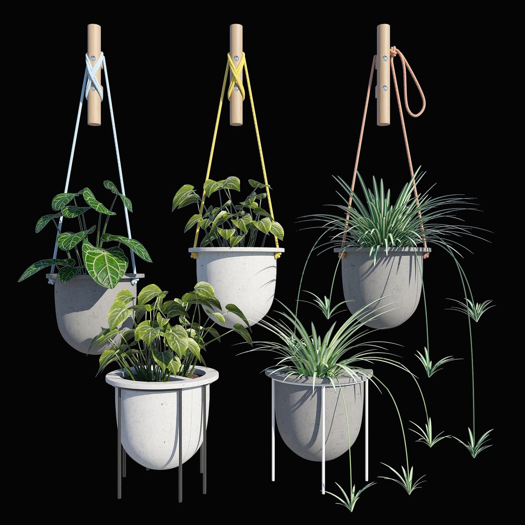 Plant Set 3D Model - TurboSquid 1154363