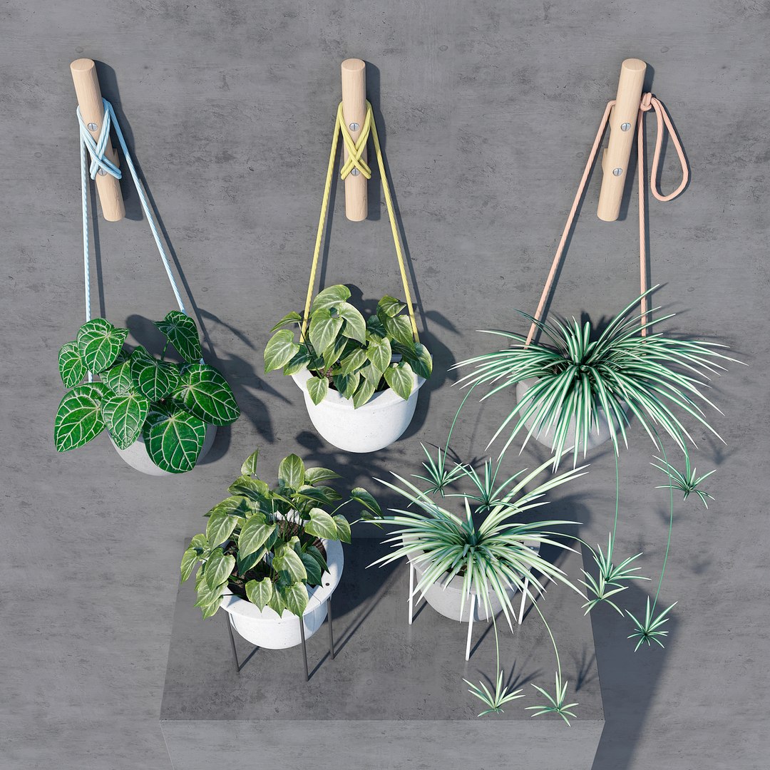Plant Set 3D Model - TurboSquid 1154363