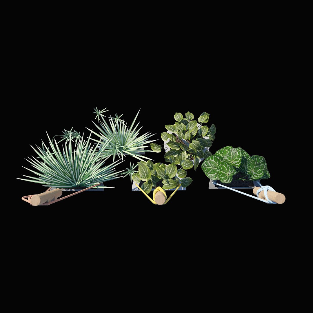 Plant Set 3D Model - TurboSquid 1154363