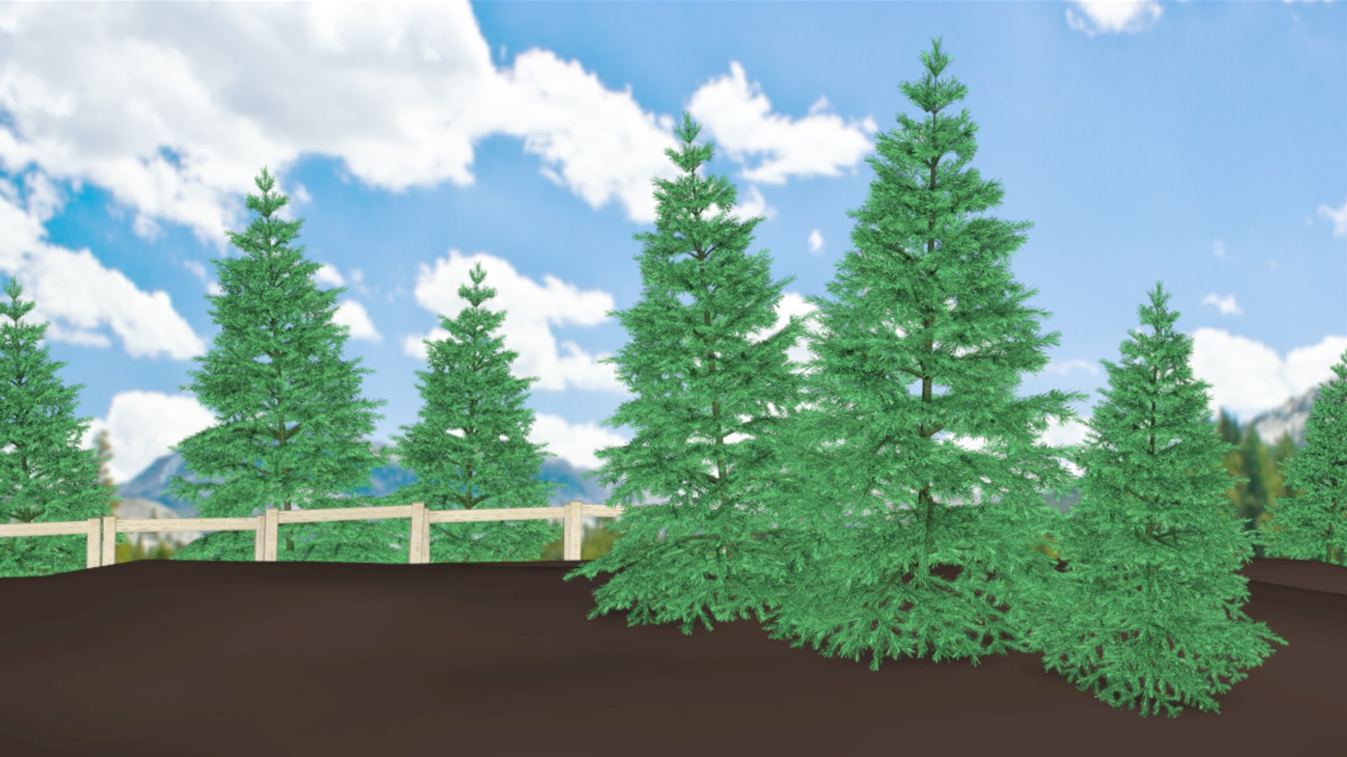 pine tree forest - 3d obj
