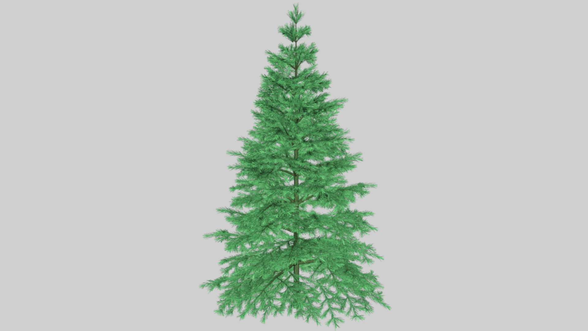 pine tree forest - 3d obj