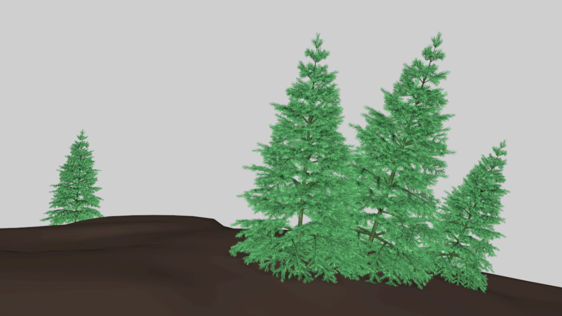 pine tree forest - 3d obj