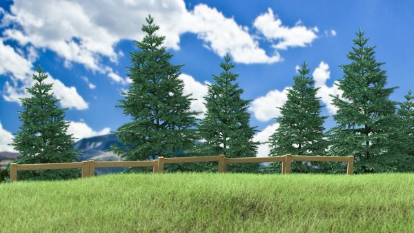 pine tree forest - 3d obj