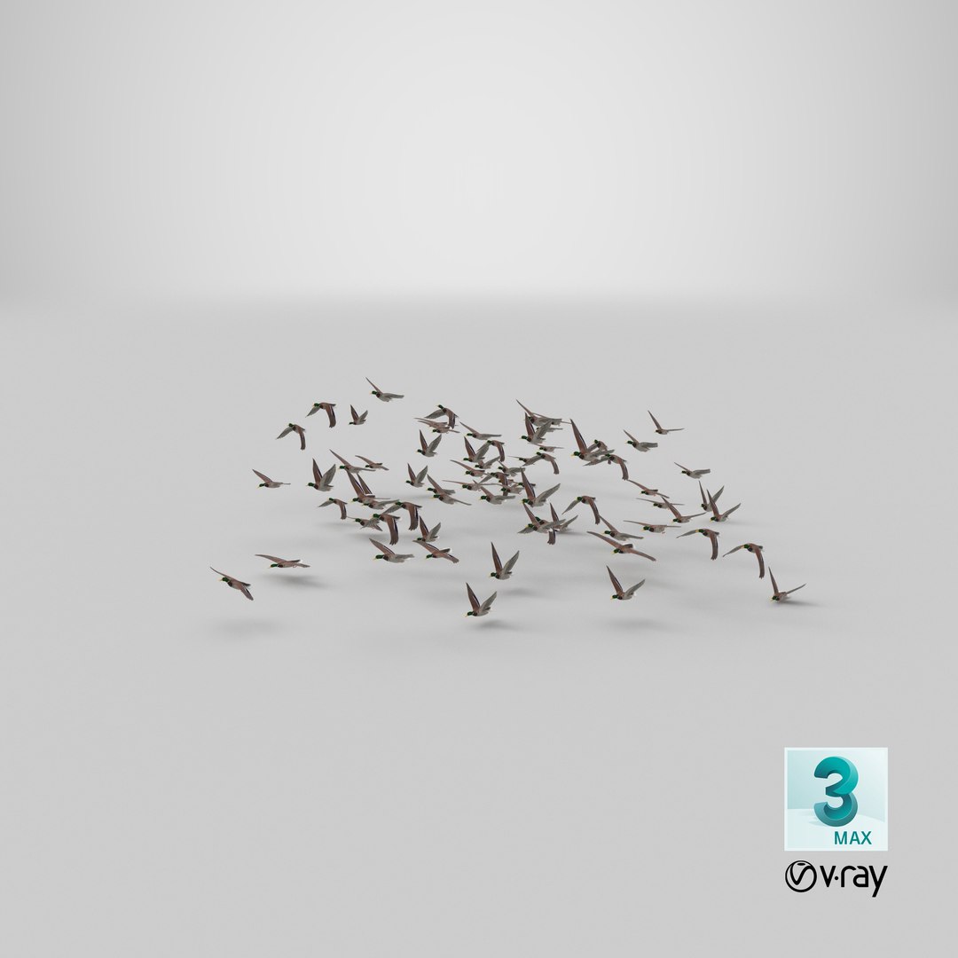 Large flock ducks flying 3D model - TurboSquid 1311971