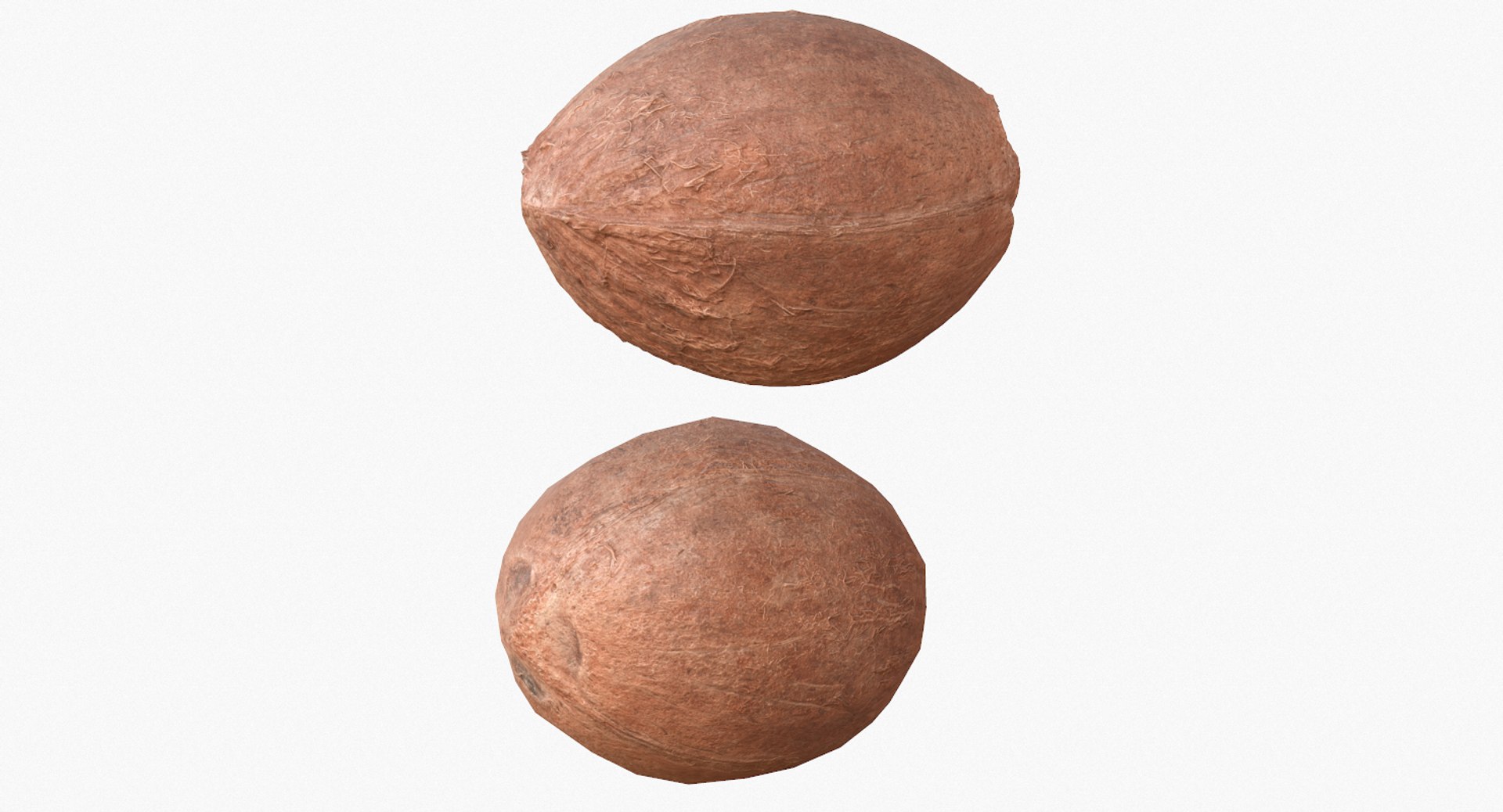 3d Coconut Polys Model