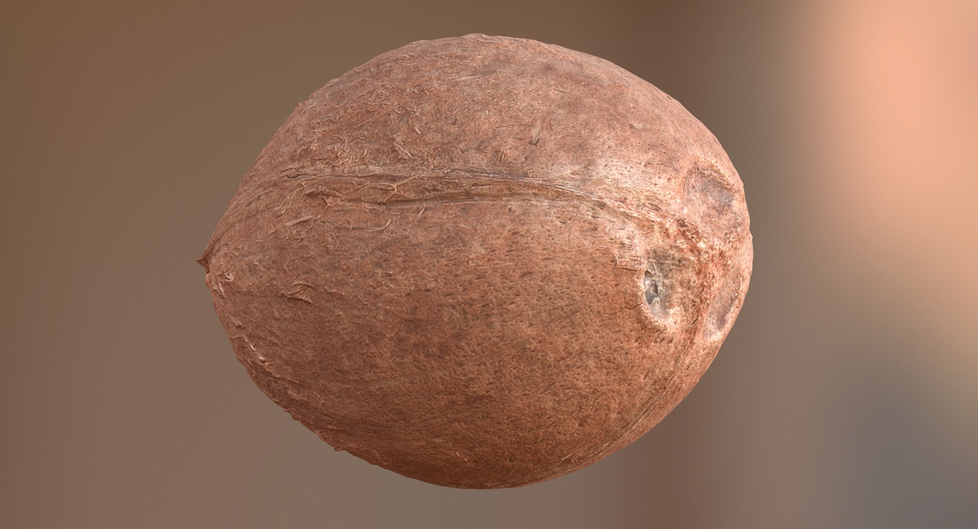 3d Coconut Polys Model