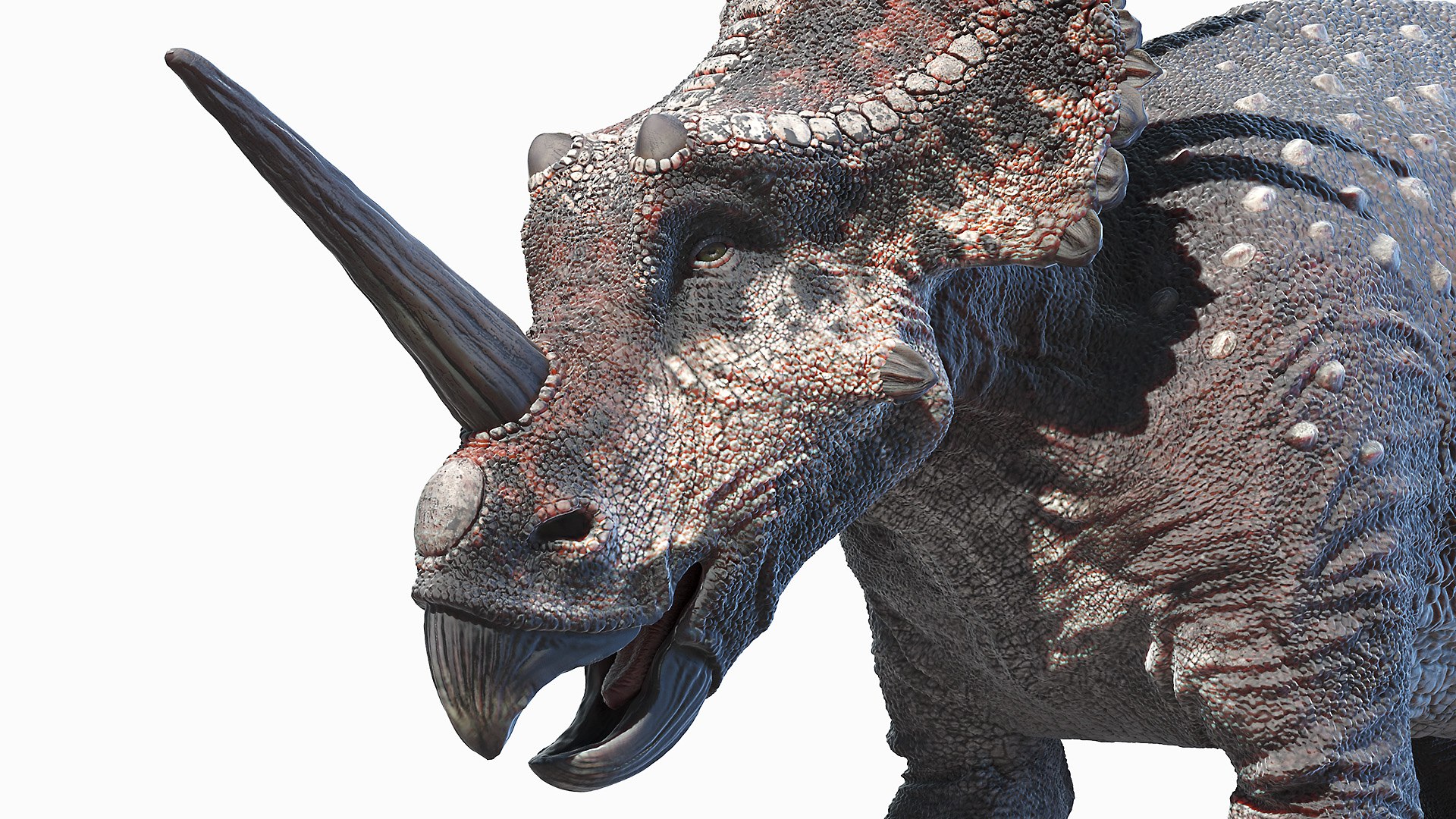 Styracosaurus Model - TurboSquid 1630659