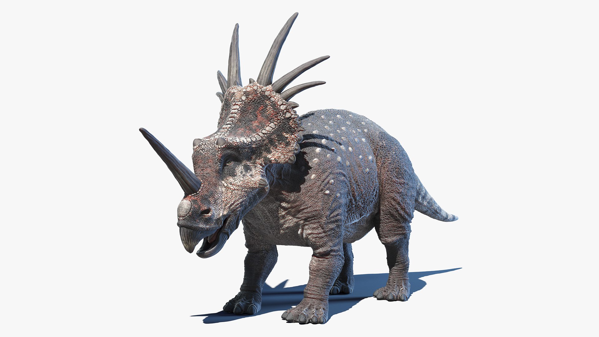Styracosaurus model - TurboSquid 1630659