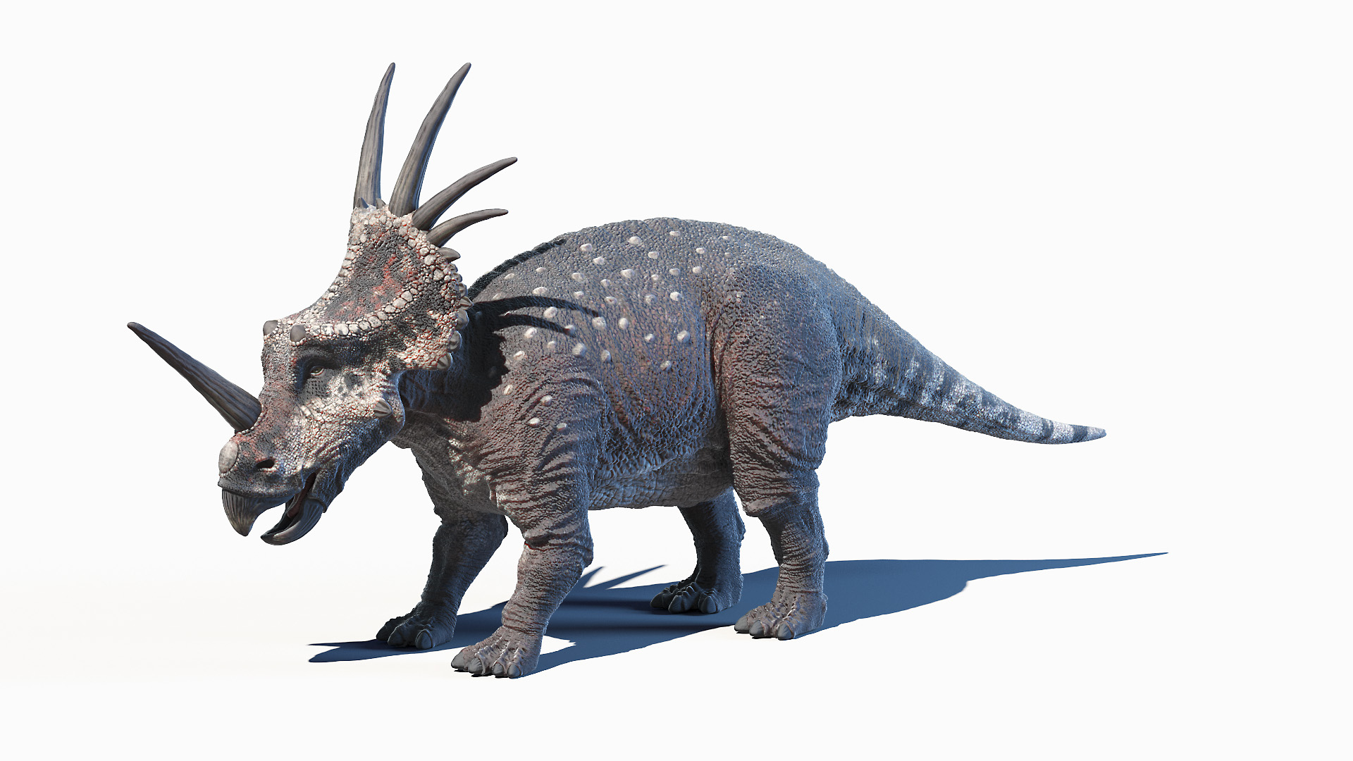 Styracosaurus Model - TurboSquid 1630659