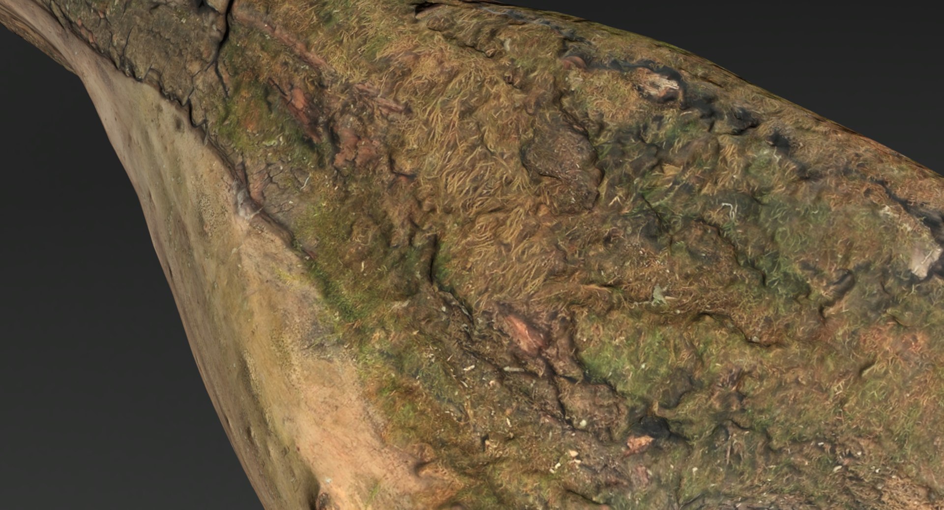 3D log asset unity - TurboSquid 1248875