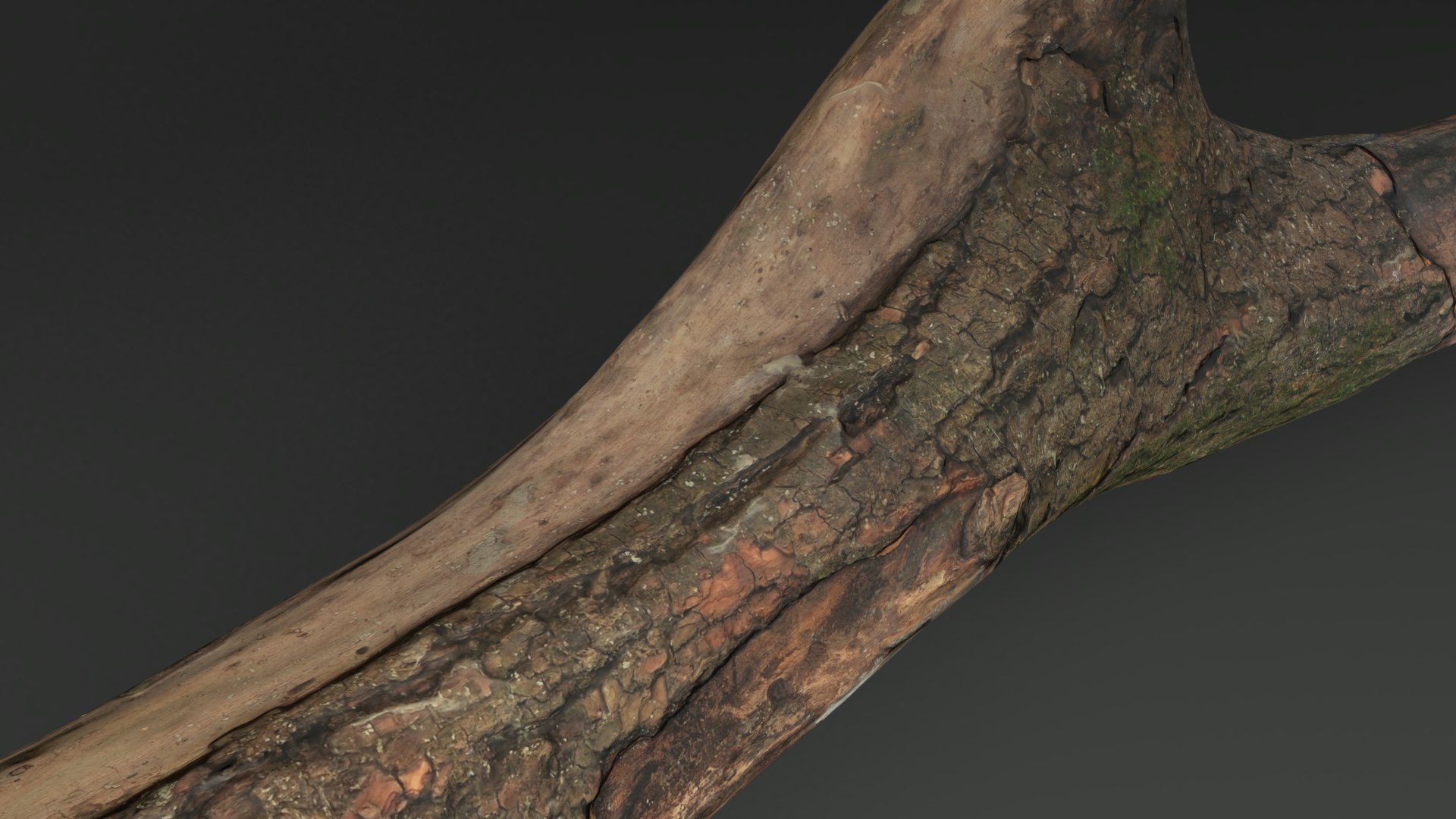 3D log asset unity - TurboSquid 1248875