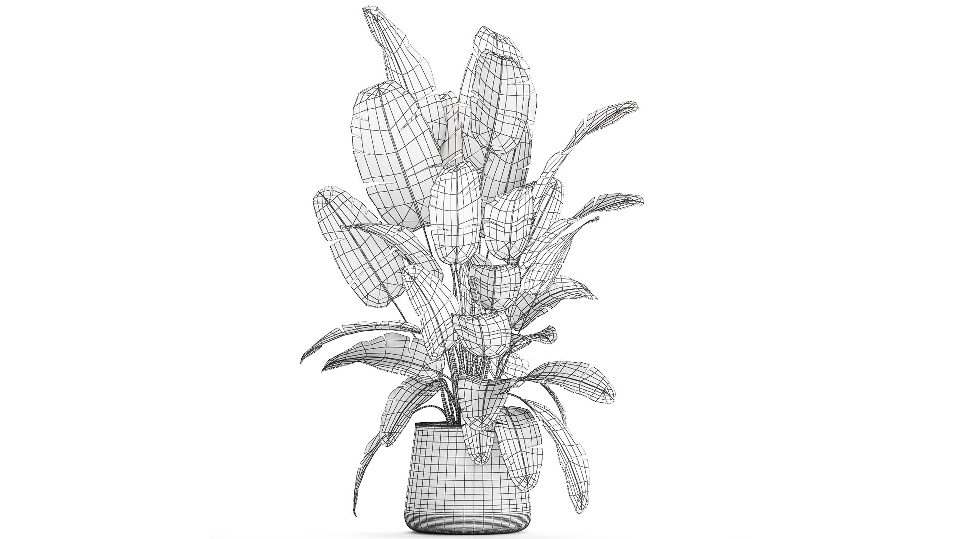 3D Beautiful Strelitzia Bush Plants In A Flower Pot 1315 Model ...