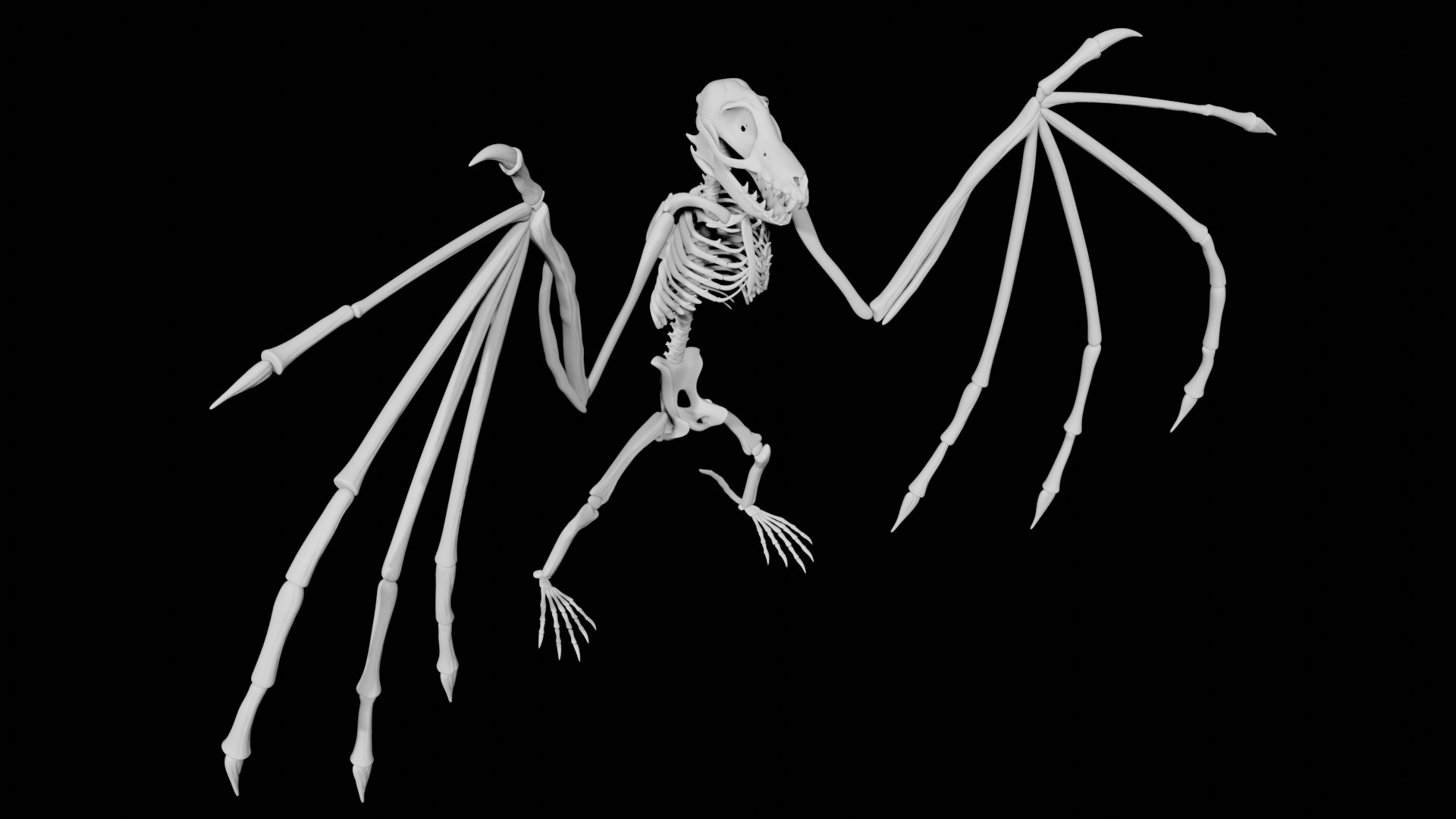 3D Rigged Bat Skeleton - TurboSquid 1839722